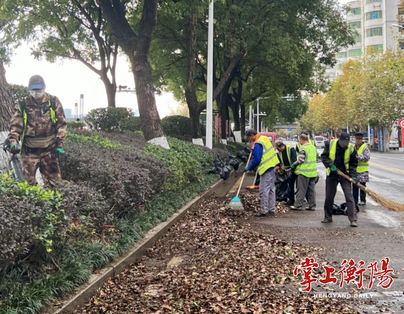 衡阳市人民政府门户网站 我市开展沿江风光带绿化带清爽行动