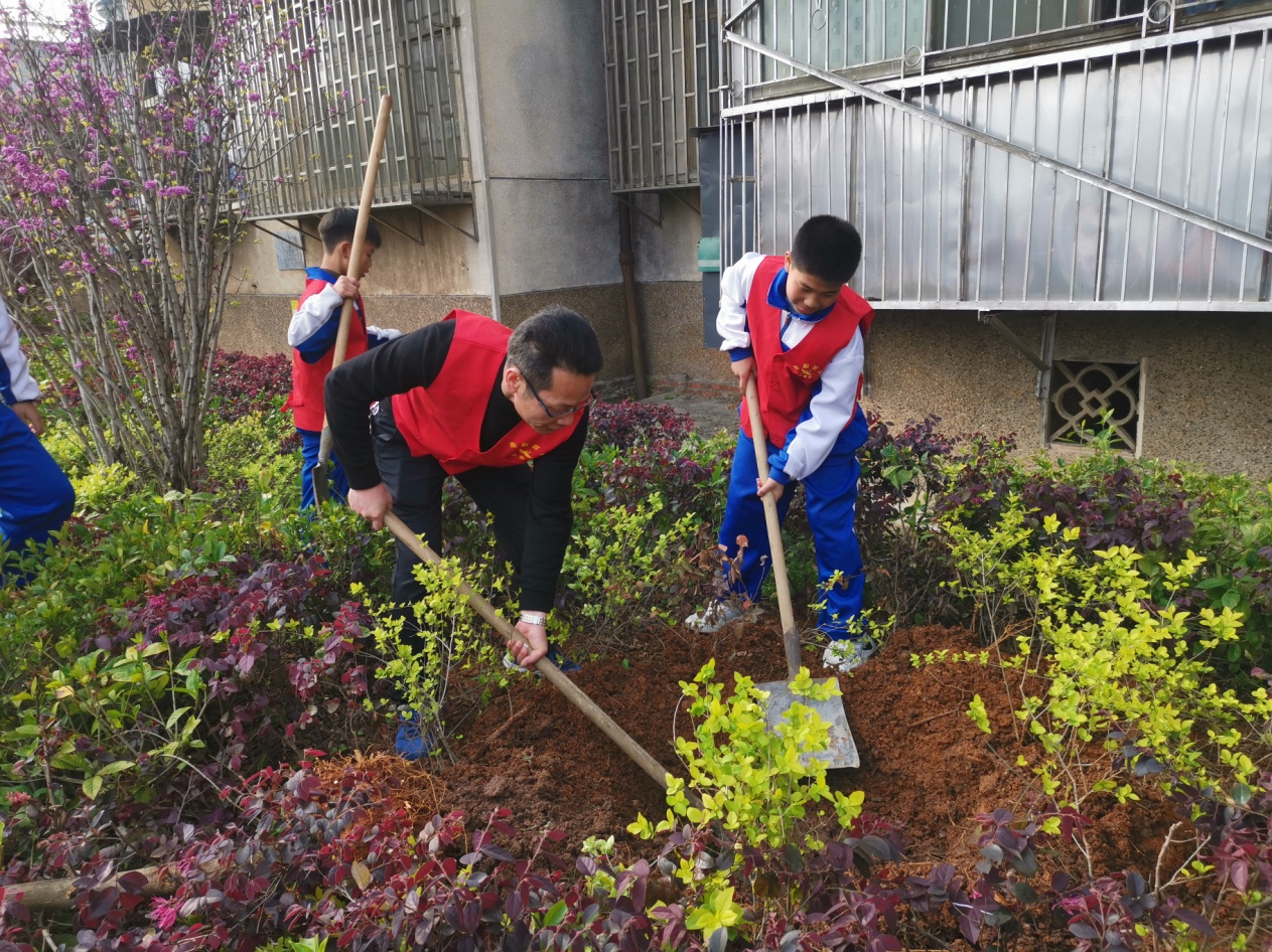 植树护绿共建文明校园 学校信息 衡阳市教育局